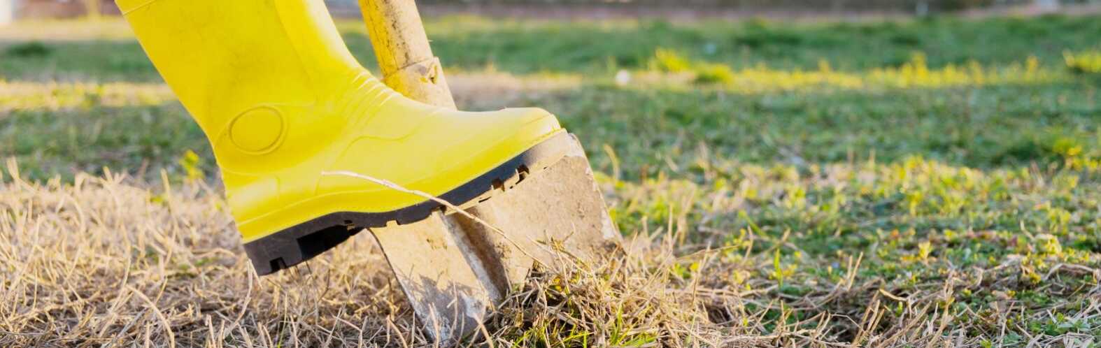 Why to Include Service Line Coverage | Harvard Western Insurance